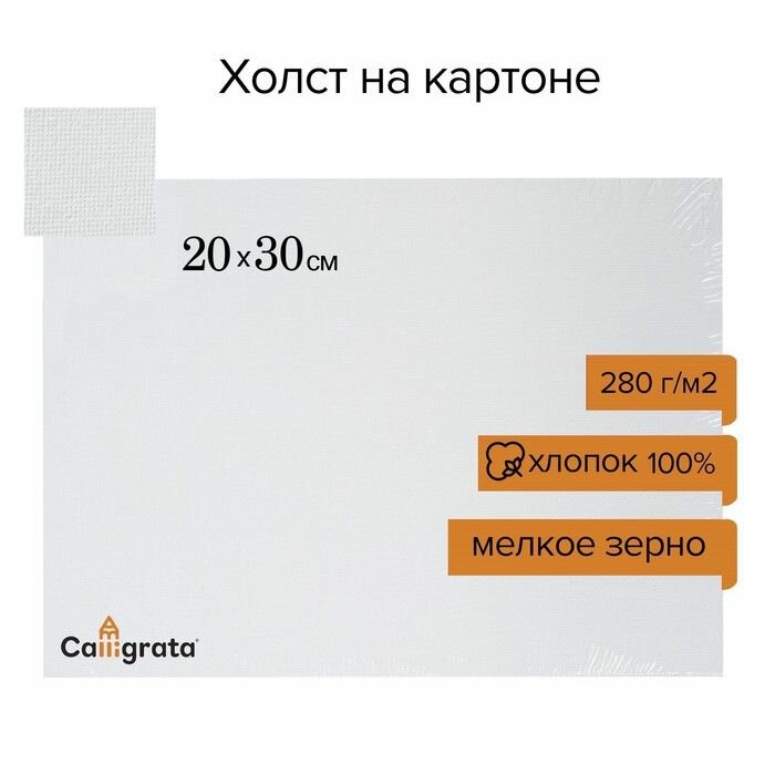 Холст на картоне Calligrata хлопок 100% 20х30 см 3 мм акрил грунт м/з, 280 г/м2