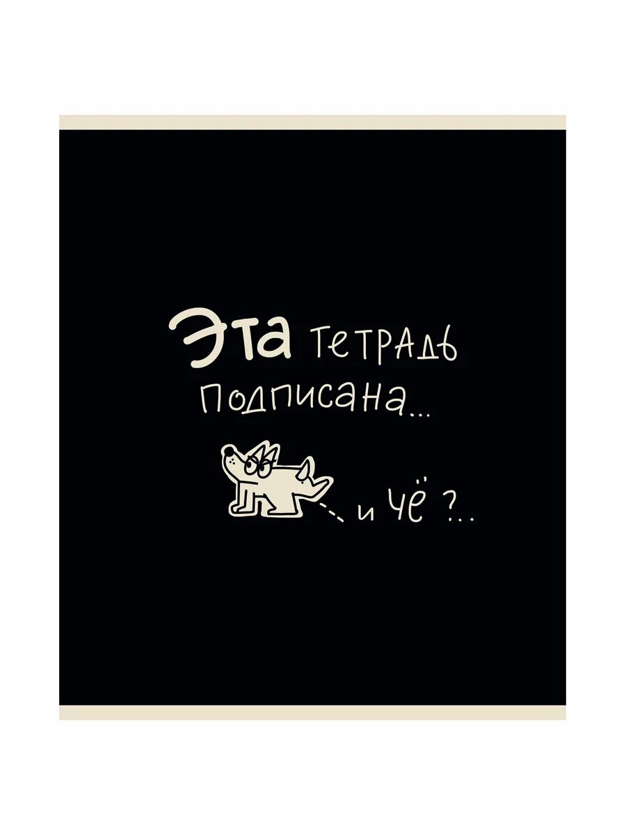 Тетрадь А5 48 л. клетка матовая 2 шт.