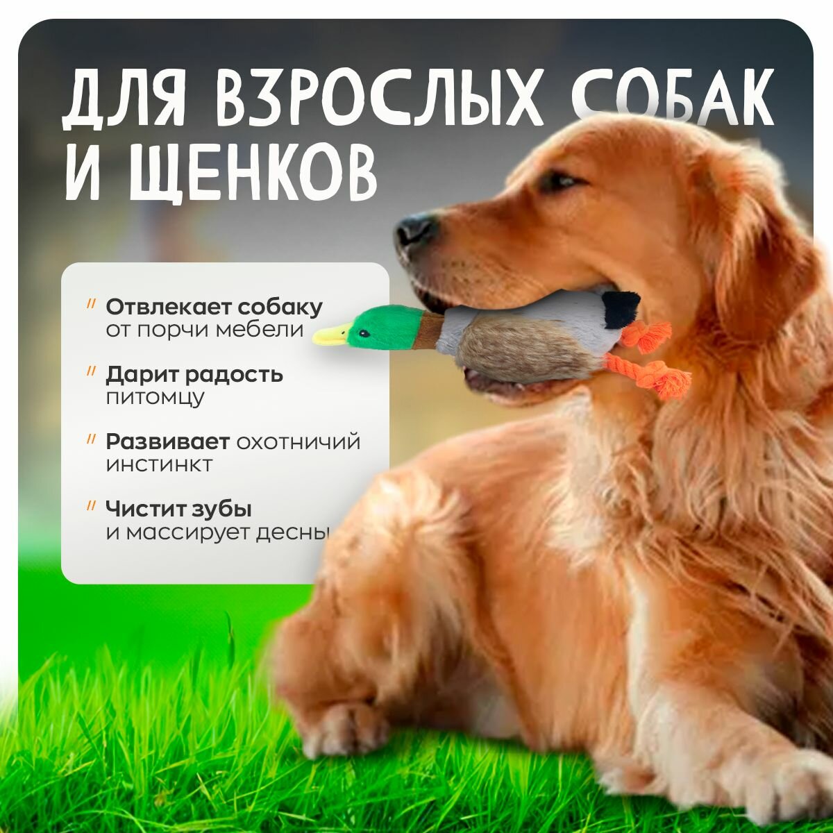 Игрушка для животных — фото 1