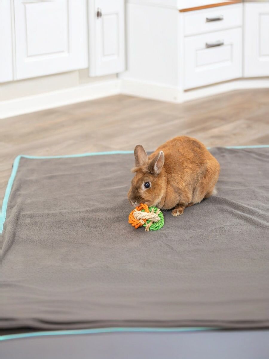 Trixie Игрушка "Кольца" из листов кукурузы, ф 6 х 15 см