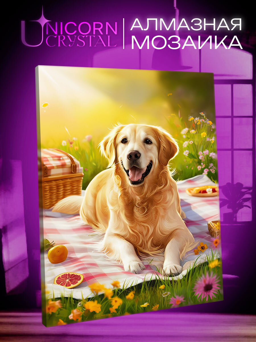 Алмазная мозаика Собака