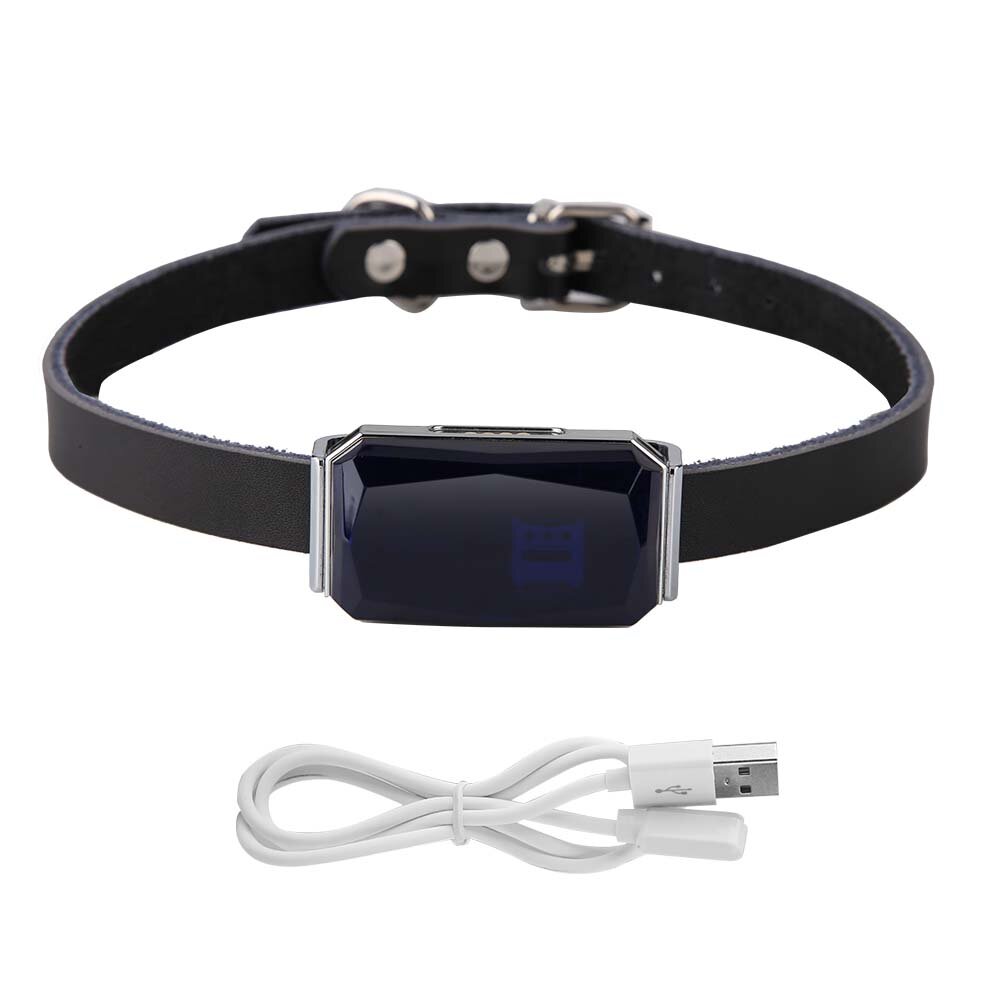Водонепроницаемый мини-ошейник для щенков с GPS-трекером, предотвращающим потерю (синий)