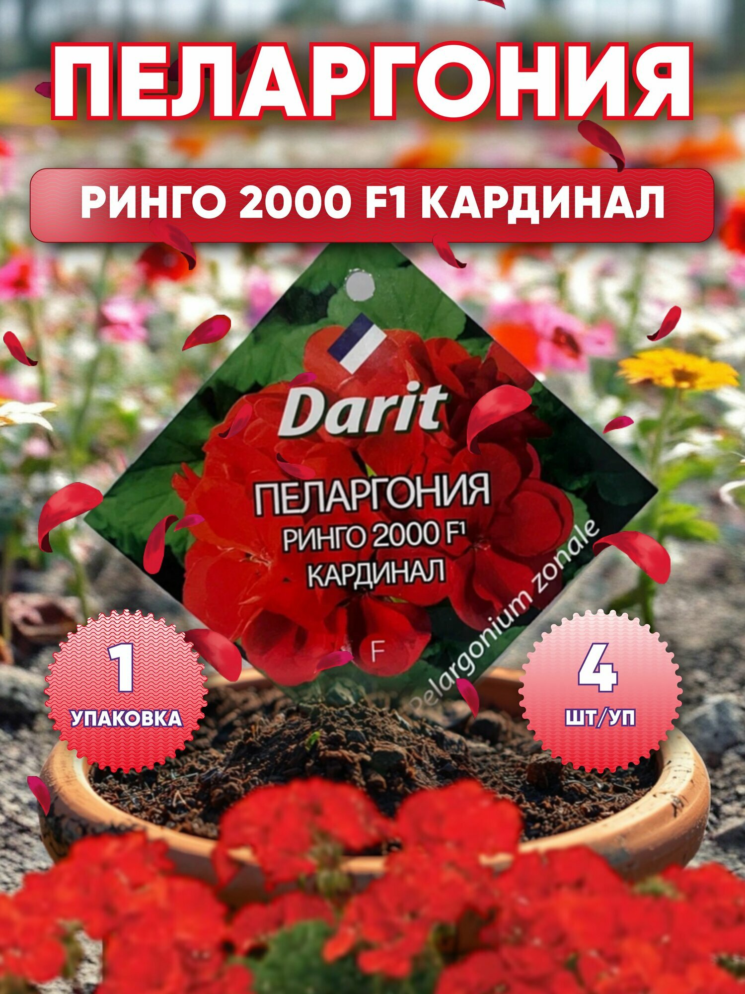 Семена Darit Пеларгония Ринго 2000 Кардинал F1, 4 шт/уп, 1 упаковка
