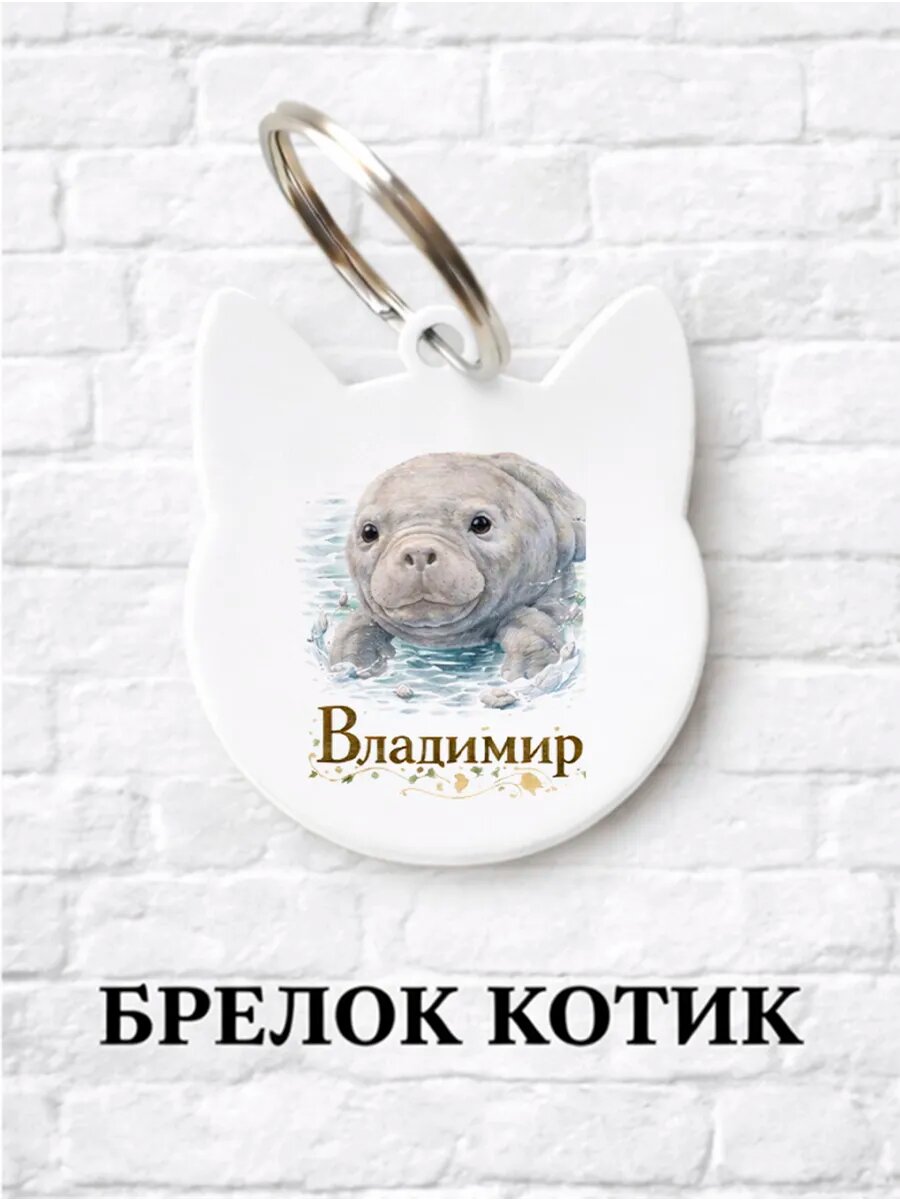Брелок ZHENYA CLOUD