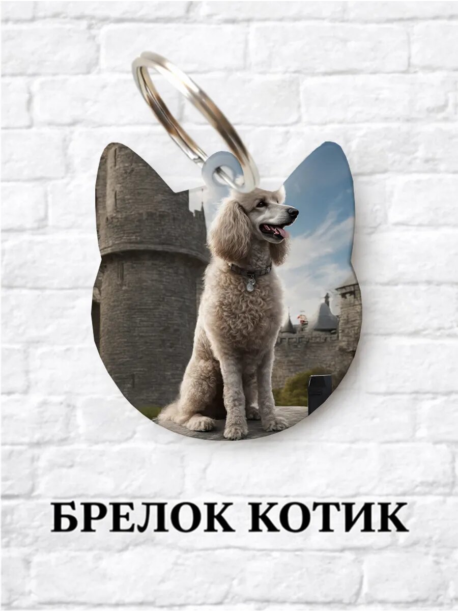 Брелок ZHENYA CLOUD