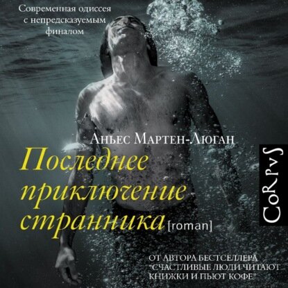 Последнее приключение странника [Аудиокнига]