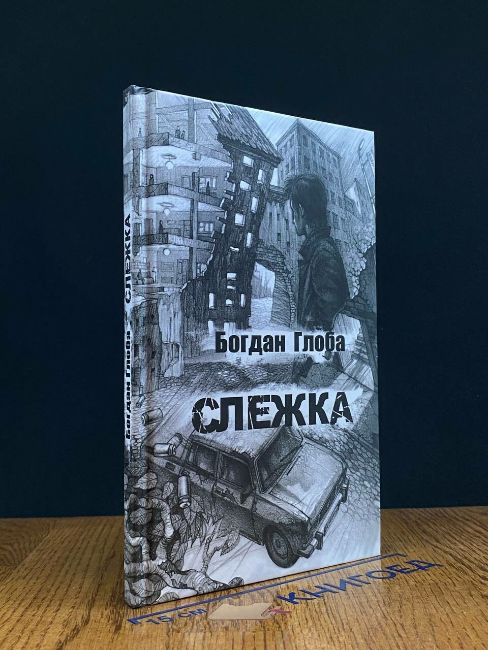Книга. Слежка 2011 (2041629903783)