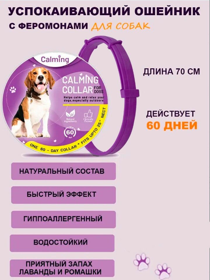 Ошейник успокаивающий для собак с феромонами и эфирными маслами фиолетовый