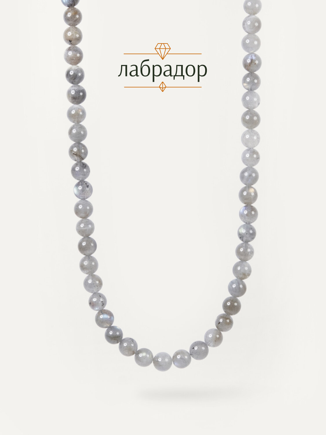 Колье, лабрадор