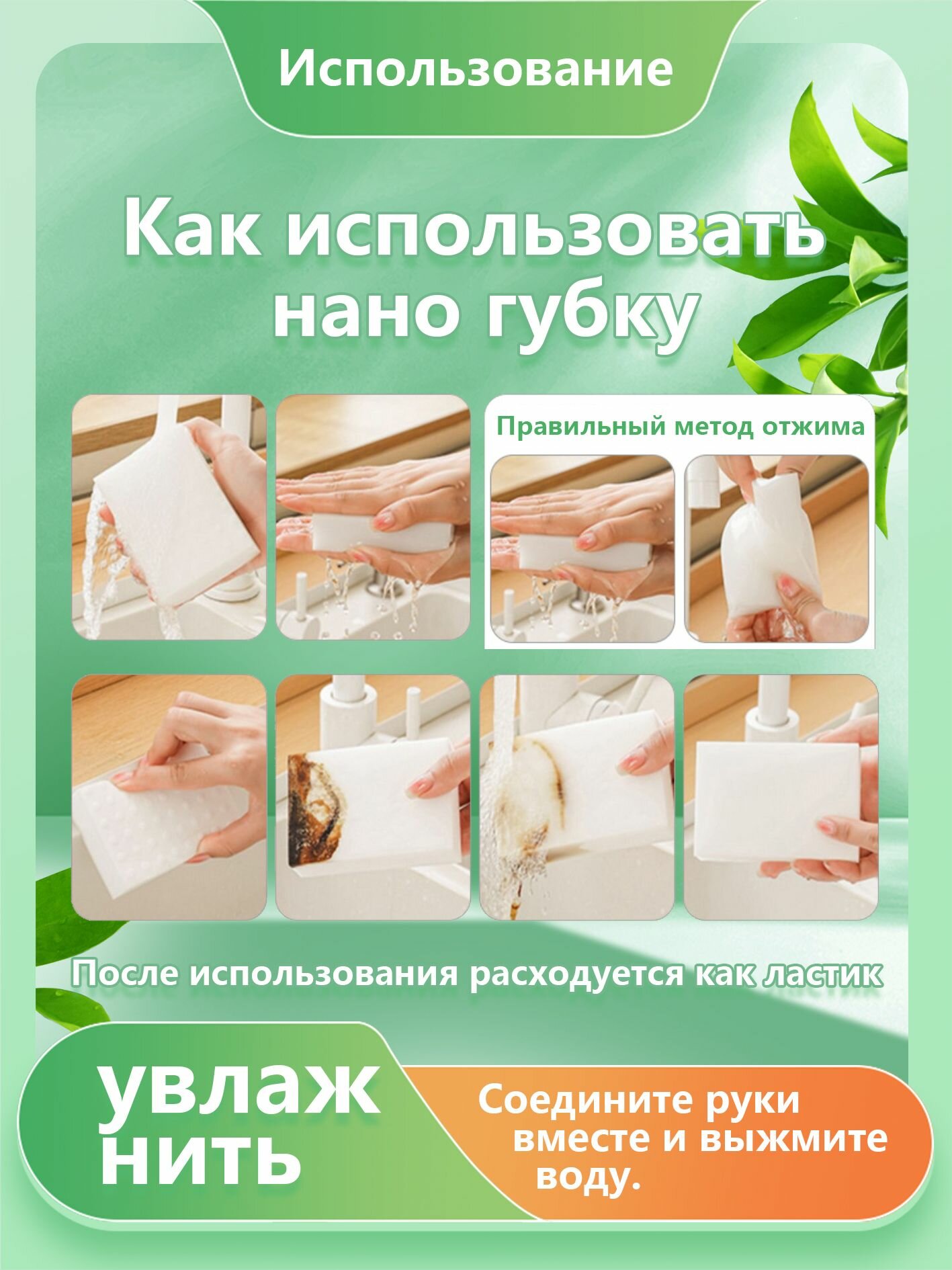 Губка — фото 1