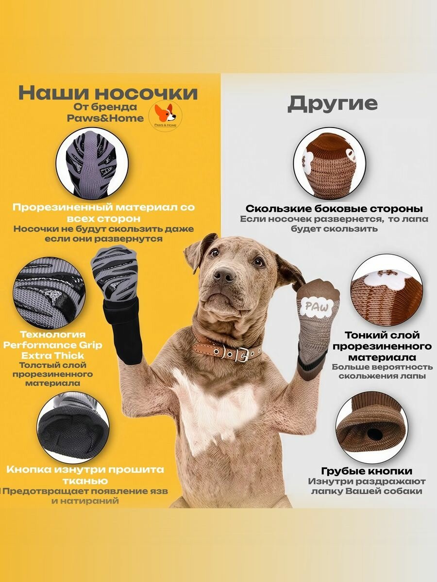 Обувь для собак — фото 1