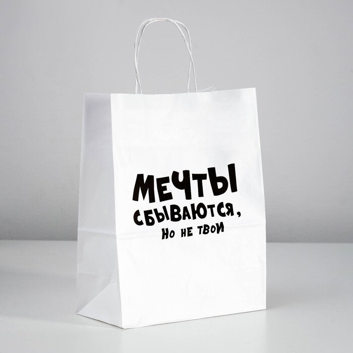 Пакет подарочный с приколами «Мечты сбываются, но не твои», 24 х 14 х 30 см