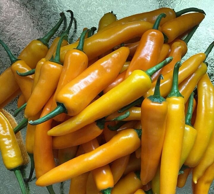 Коллекционные семена перца острого Огонь-стручки