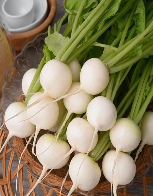 Коллекционные семена редиса Эртапишар