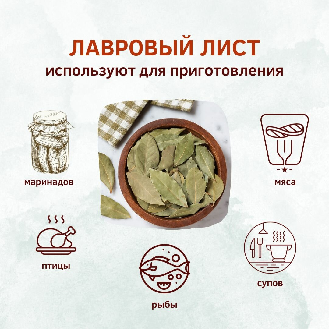 Лавровый лист — фото 1