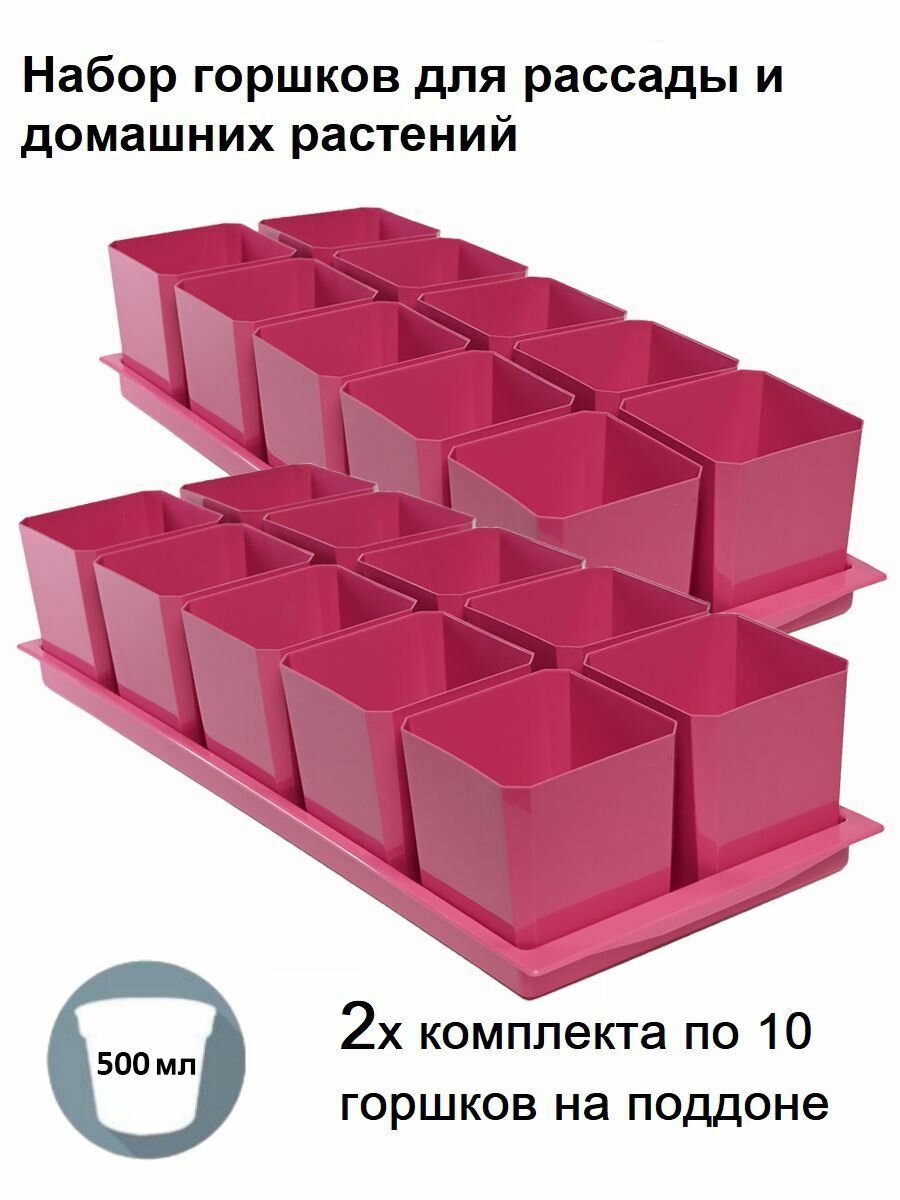 Горшки для рассады и цветов, 20 горшков по 500 мл и 2 общих поддона, французская роза