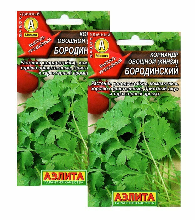 Кориандр Бородинский 3г. (Аэлита)