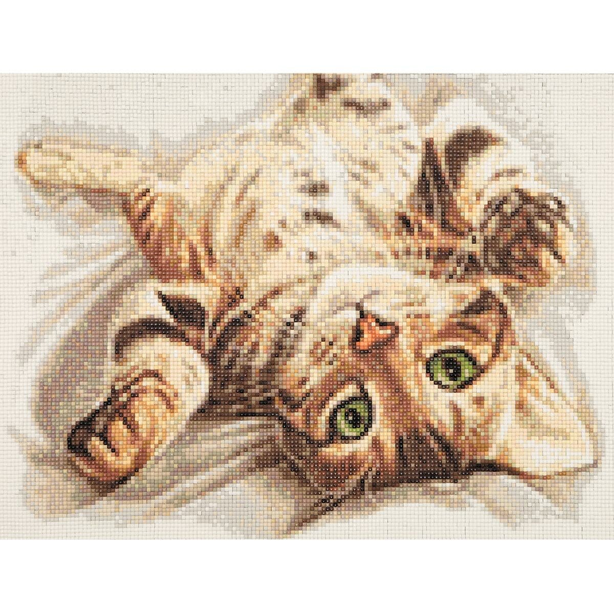 Алмазная мозаика Бенгальский котенок, размер 40×30 см, квадратные стразы, Cristyle