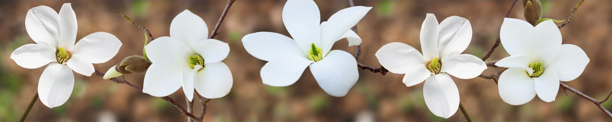 Кухонный фартук/стеновая панель МДФ для кухни 2800*600*6мм "BS-261"