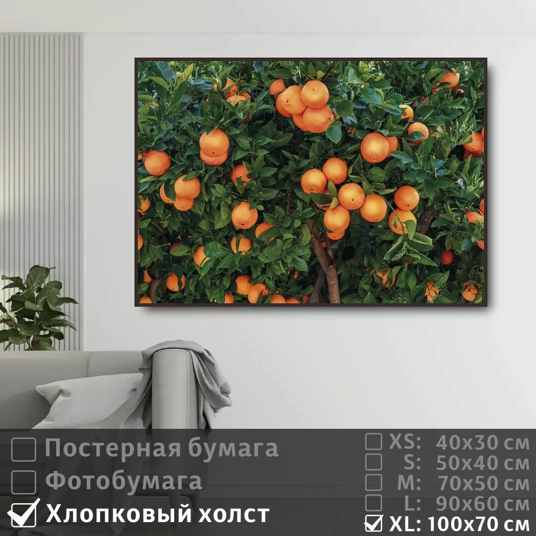 Постер на холсте Испанские Апельсины 100х70 см ПолиЦентр
