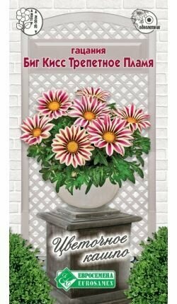 Гацания жестковатая БИГ кисс трепетное пламя /3 семяни х 1 упаковка/ Евросемена