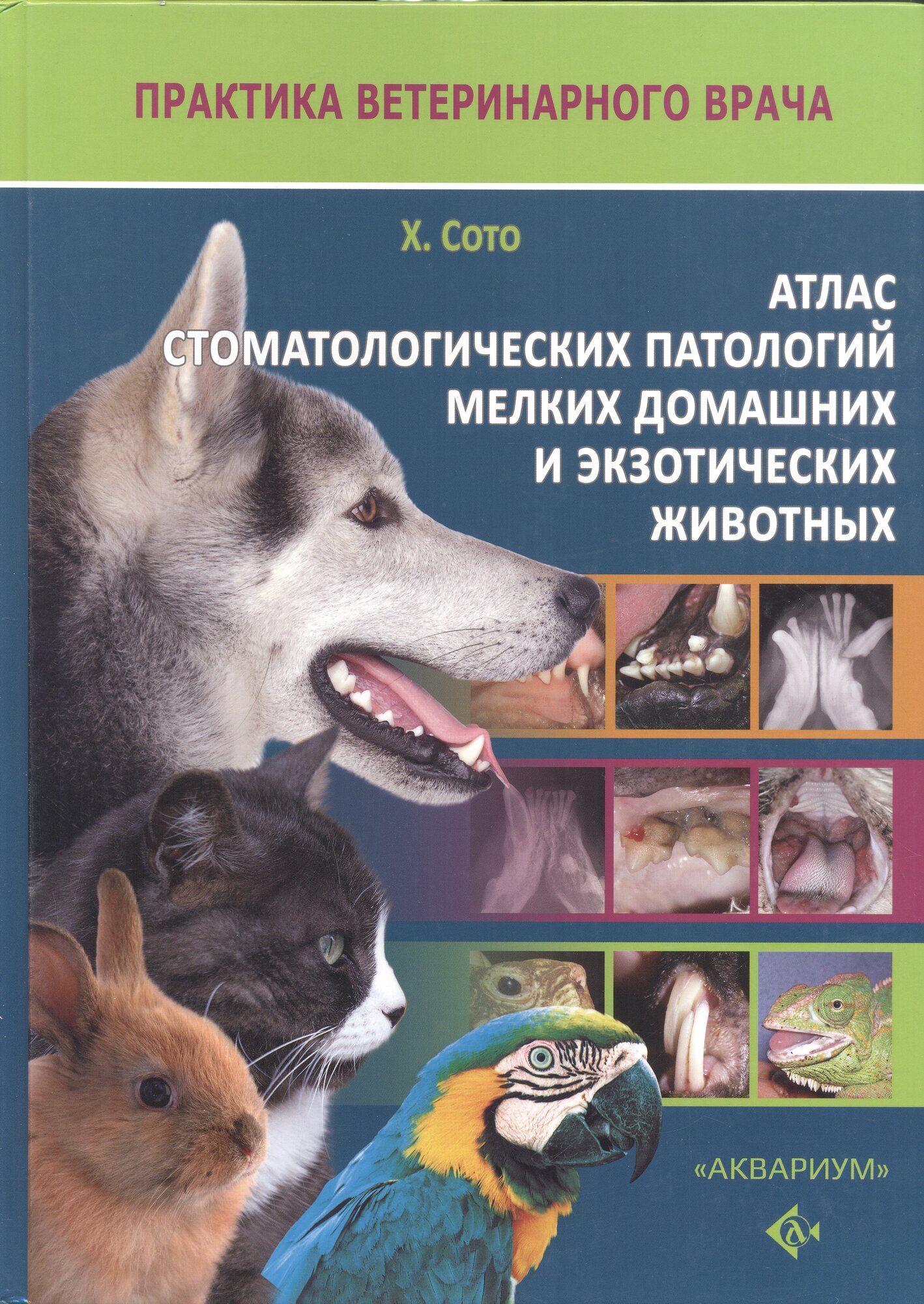 Атлас стоматологических патологий мелких домашних и экзотических животных