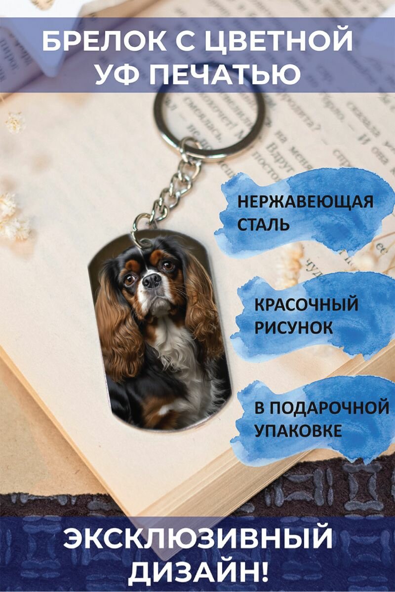 Брелок PNP