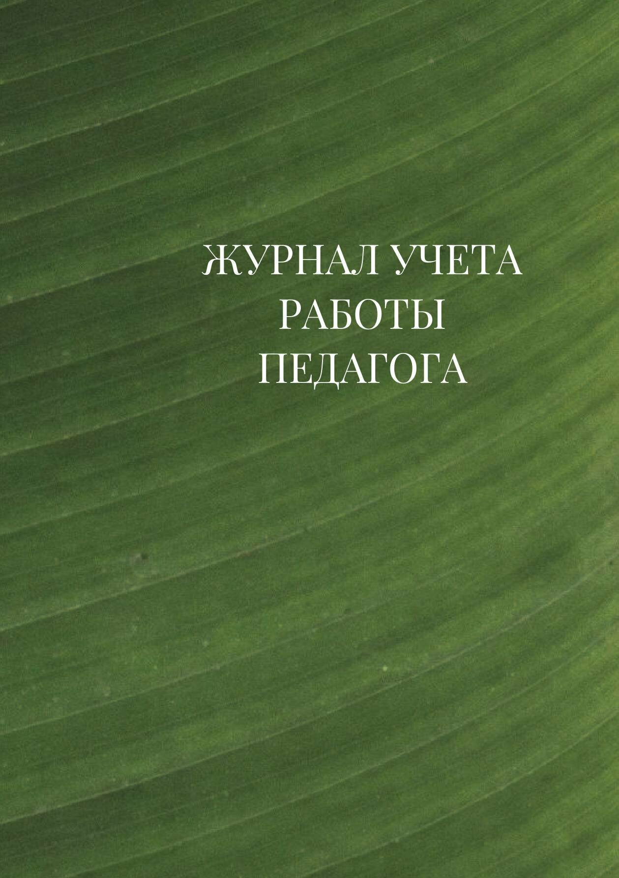Журнал учета работы педагога дополнительного образования