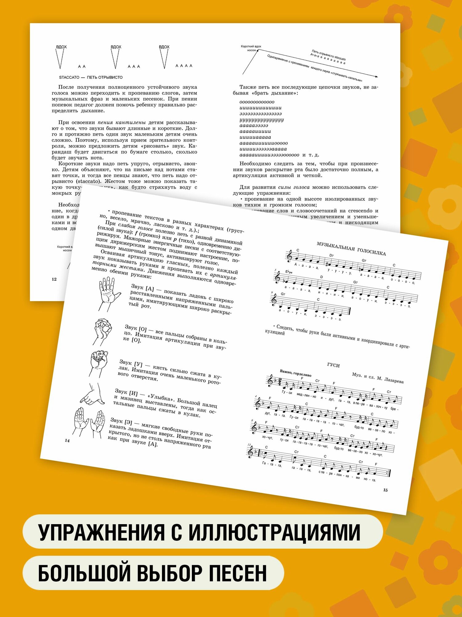 Логопедические распевки. Автоматизация звуков. Уроки логопеда. Логопедические книги — фото 1