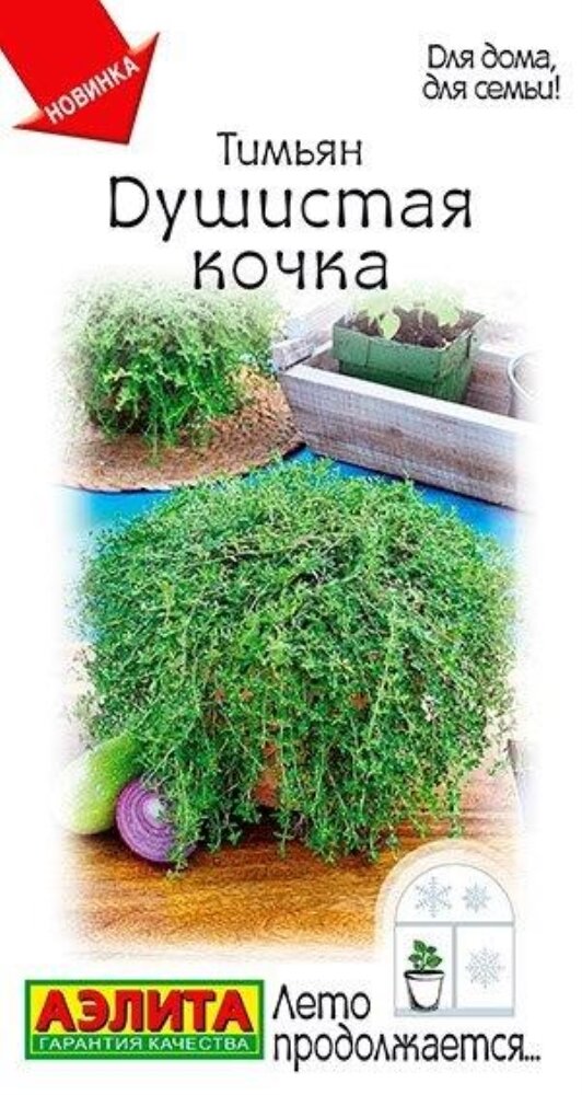 Тимьян (чабрец) Душистая кочка 0,05г Ср (Аэлита)