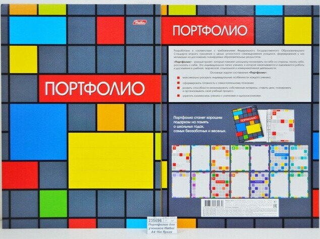 Папка-портфолио на кольцах+набор вкладышей в портфолио для учеников 1-11 классов Яркая графика Hatber