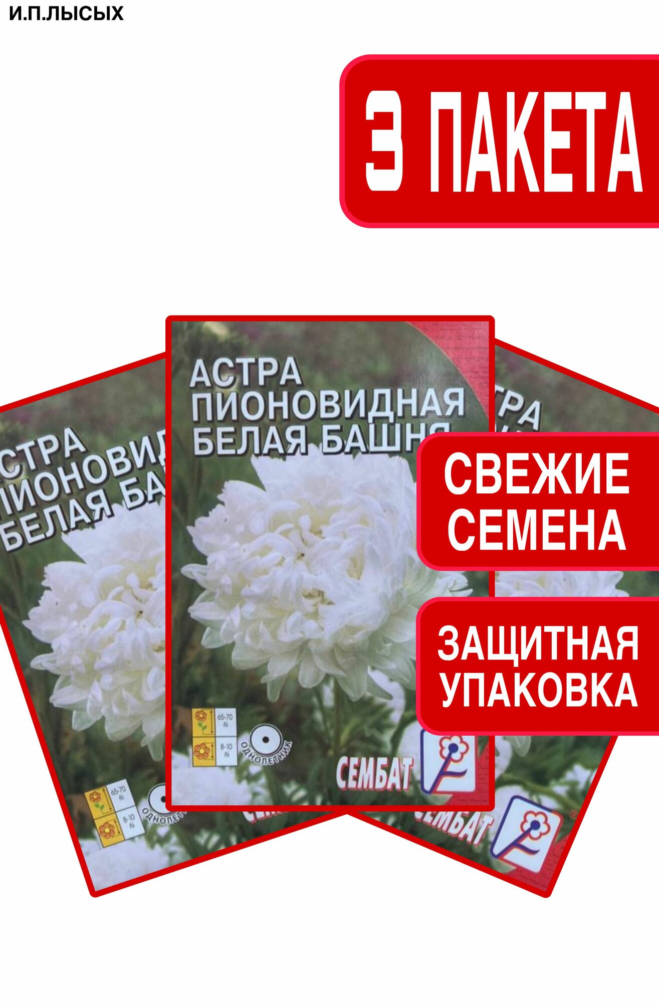 Семена цветов Астра пионовидная белая башня