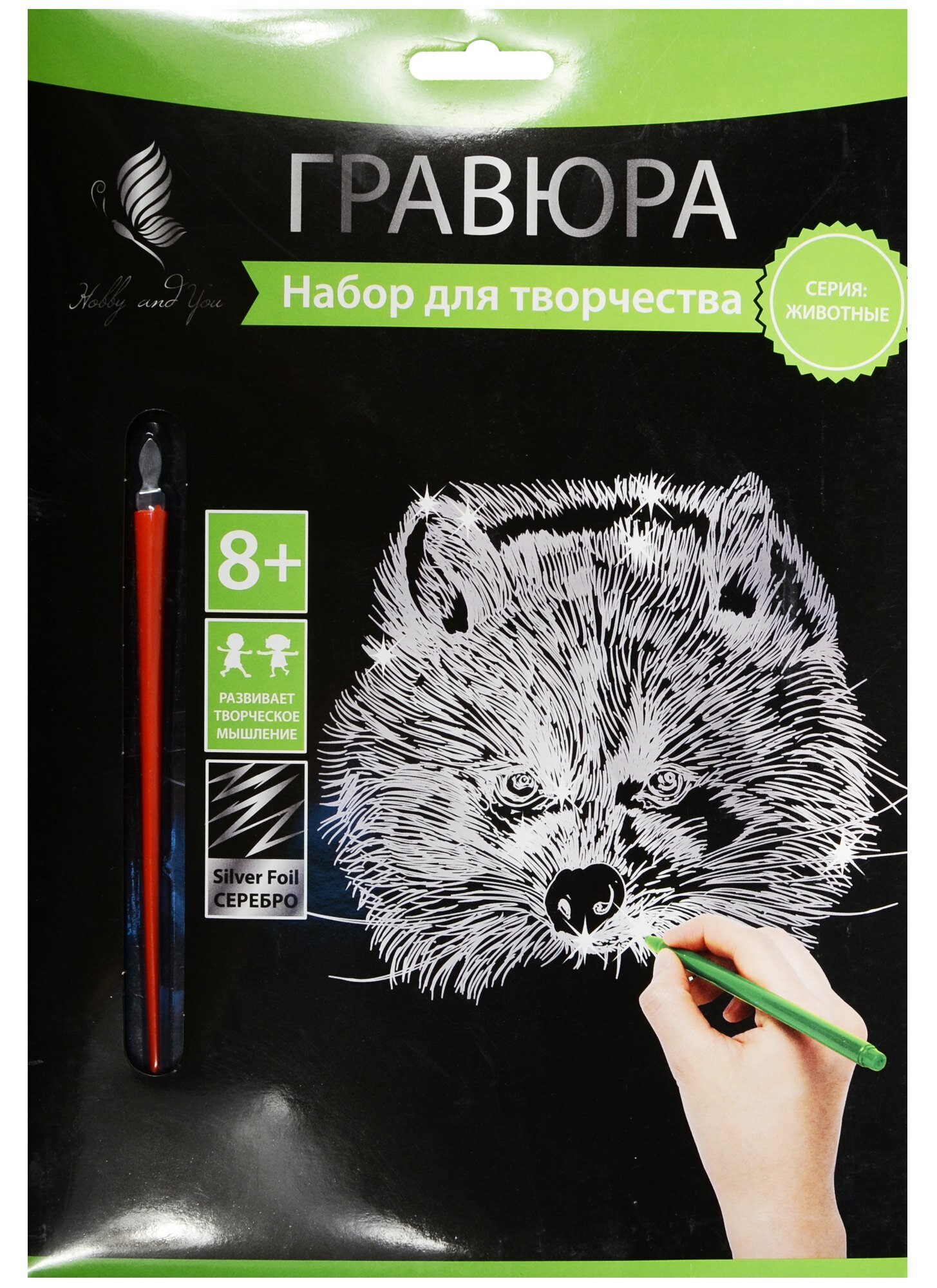 Набор для творчества Hobby & You. Гравюра «Енот», 18х24 см, серебро
