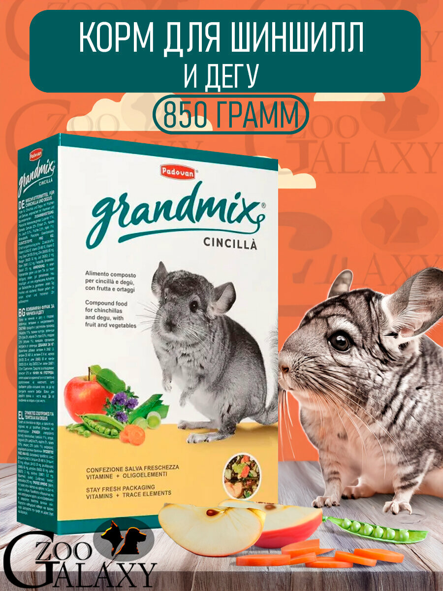 PADOVAN Grandmix корм комплексный для шиншилл и дегу, основной 850г
