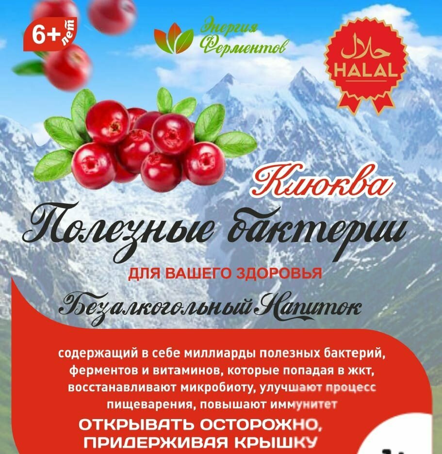 Энзим. Пробиотик "Энергия Ферментов" (клюква) , на талой воде, с медом, пробиотики
