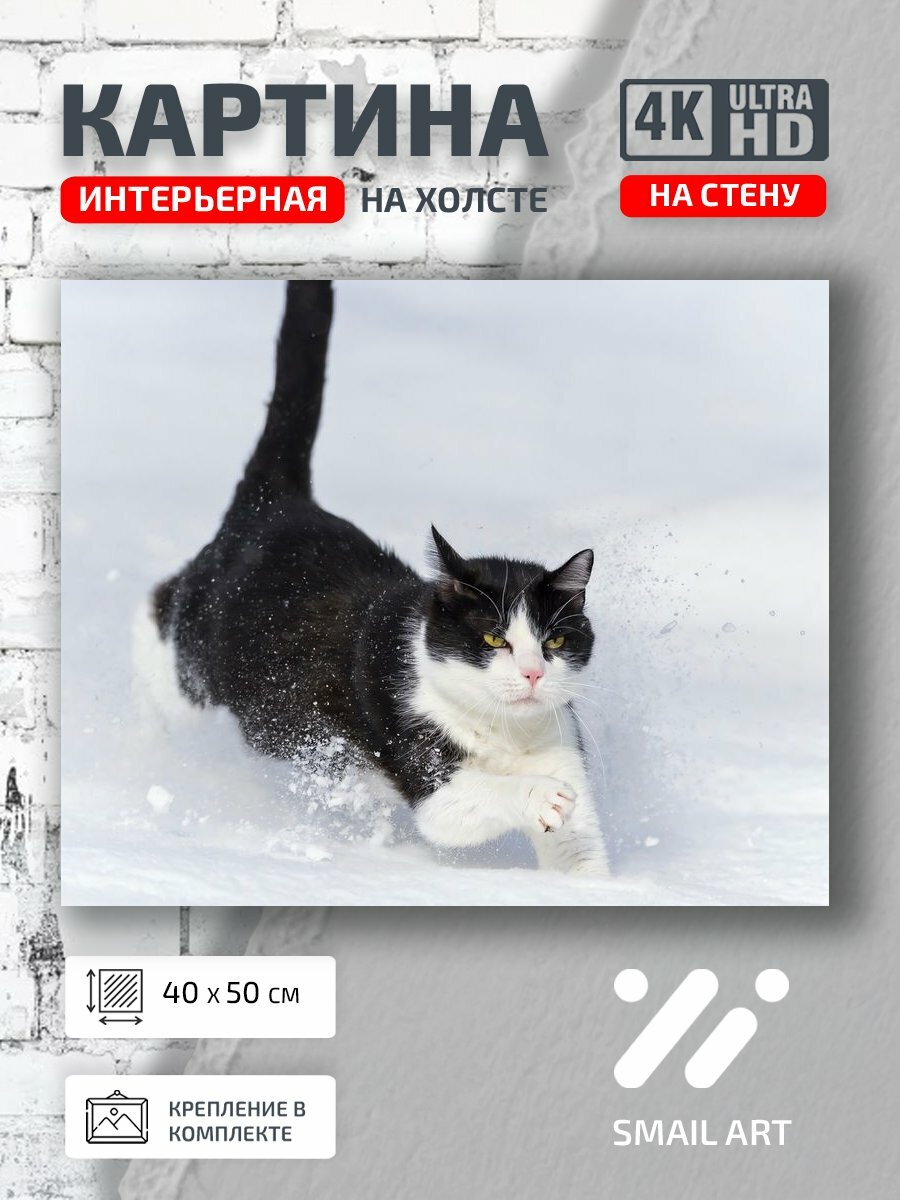 Картина на холсте интерьерная 40 на 50 на стену Черно-белый Animal для кафе animal style