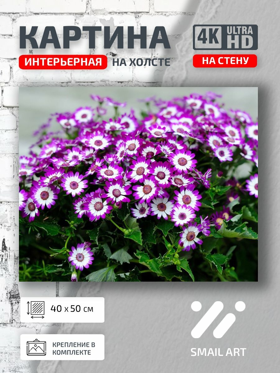 Картина на холсте интерьерная 40 на 50 на стену Ромашки Mood для студии атмосфера интерьер