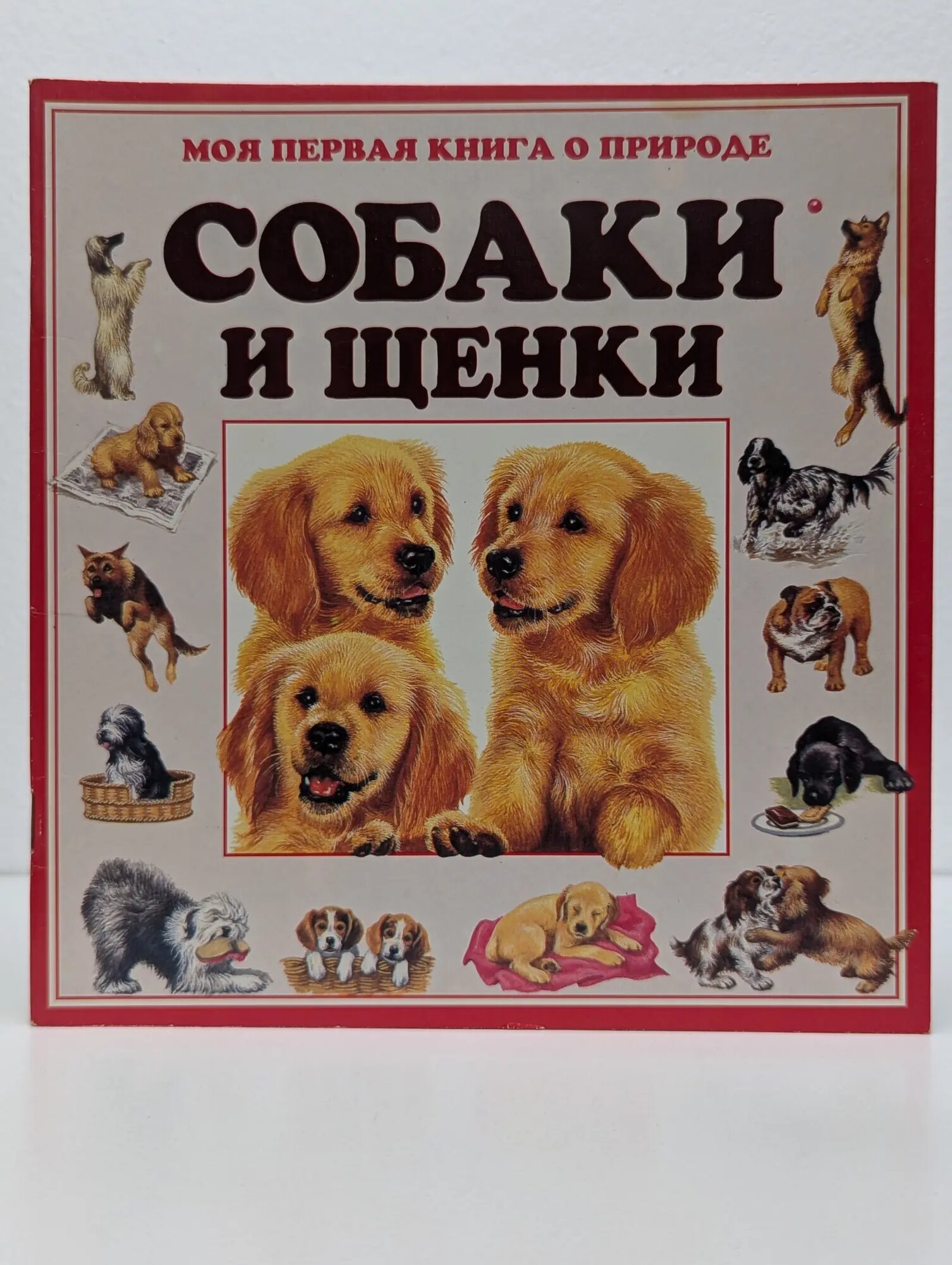 Собаки и щенки. Моя первая книга о природе Роуз Хилл 1996