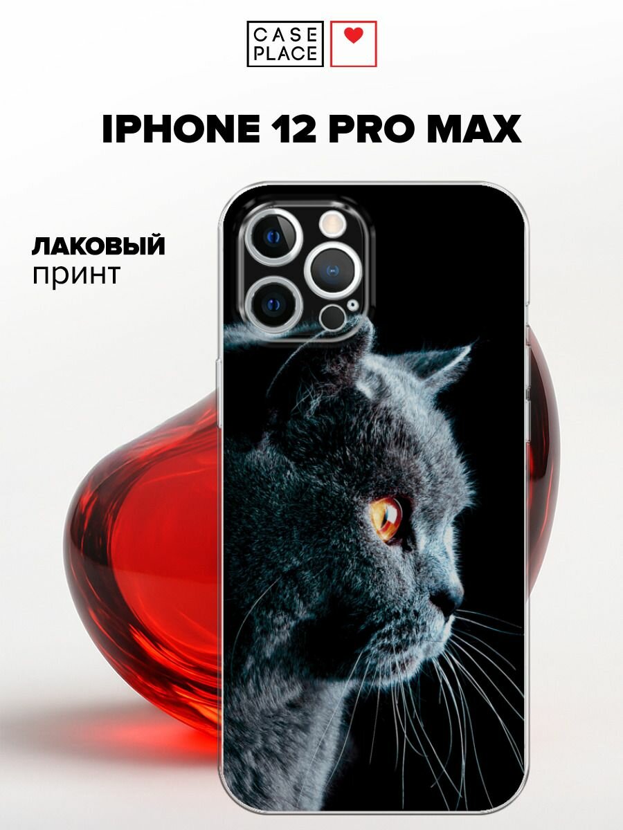 Силиконовый чехол на Apple iPhone 12 Pro Max / Айфон 12 Про Макс с принтом Благородный кот британец