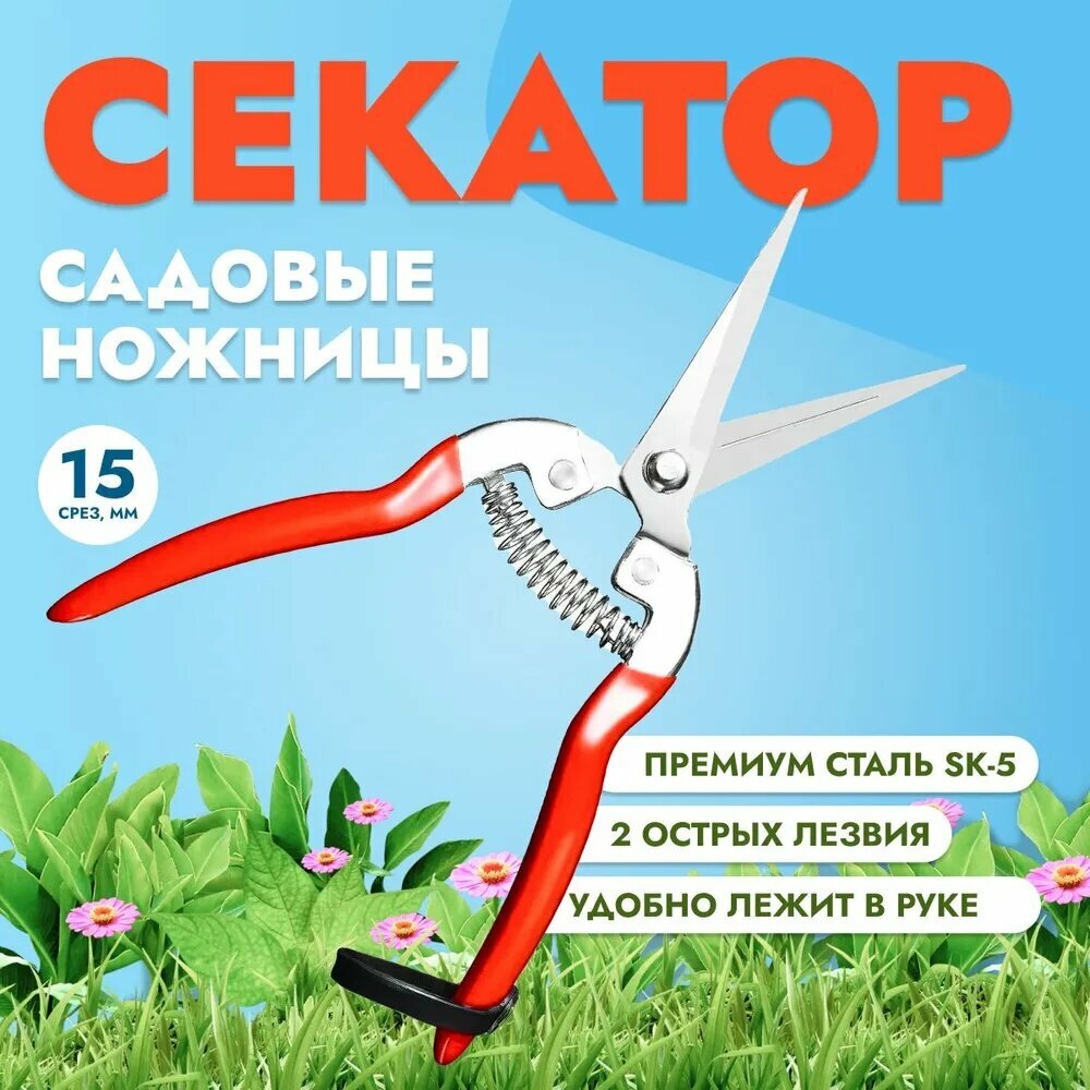 Секатор