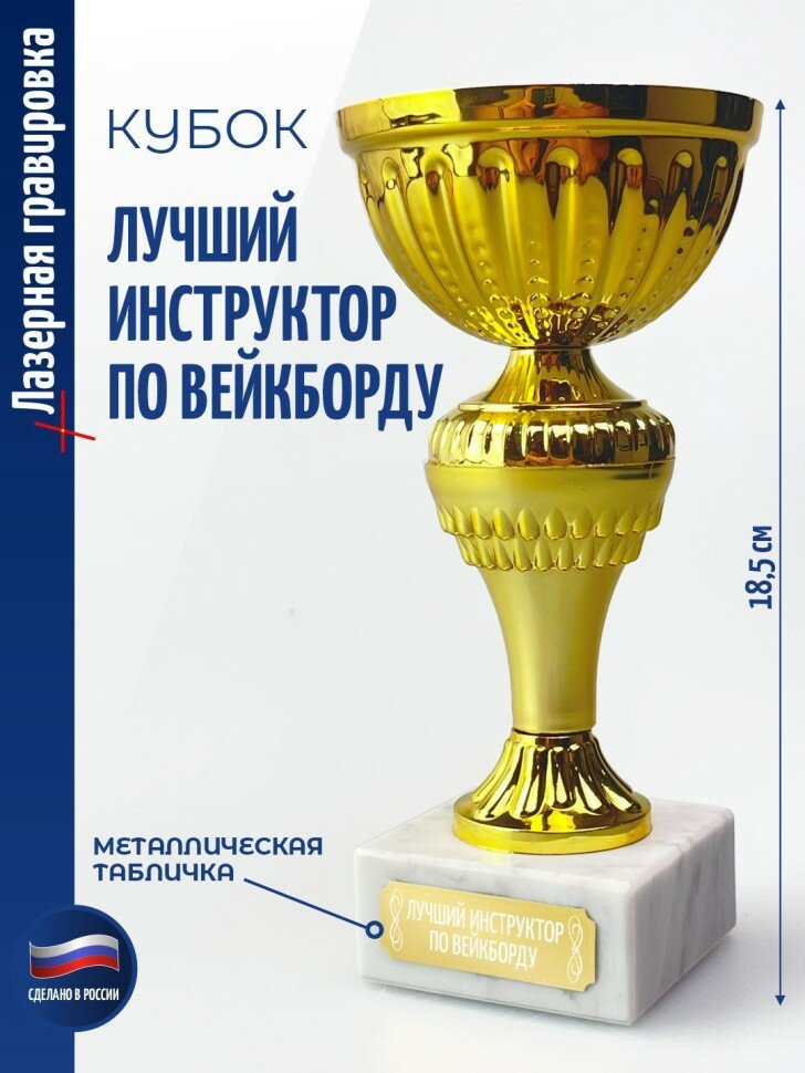 Кубок "Лучший инструктор по вейкборду" (18,4 см)