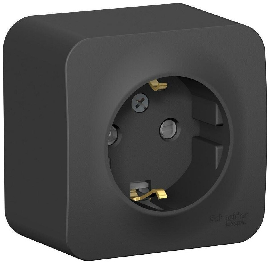 Розетка Systeme Electric Blanca с заземлением с защитными шторками антрацит для открытой проводки