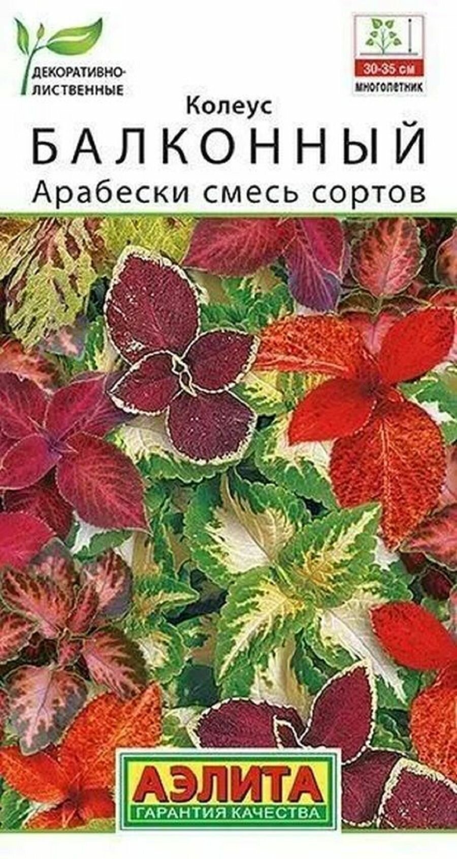 Колеус балконный Арабески, смесь сортов