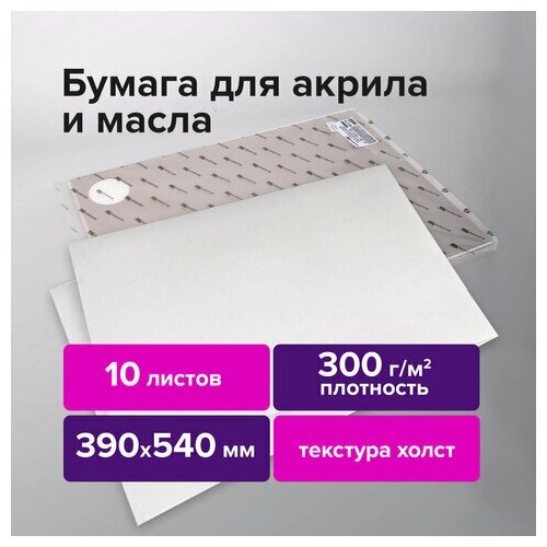 Бумага для акриловых и масляных красок, 300 г/м2, 390×540 мм, 10 листов, BRAUBERG ART PREMIERE