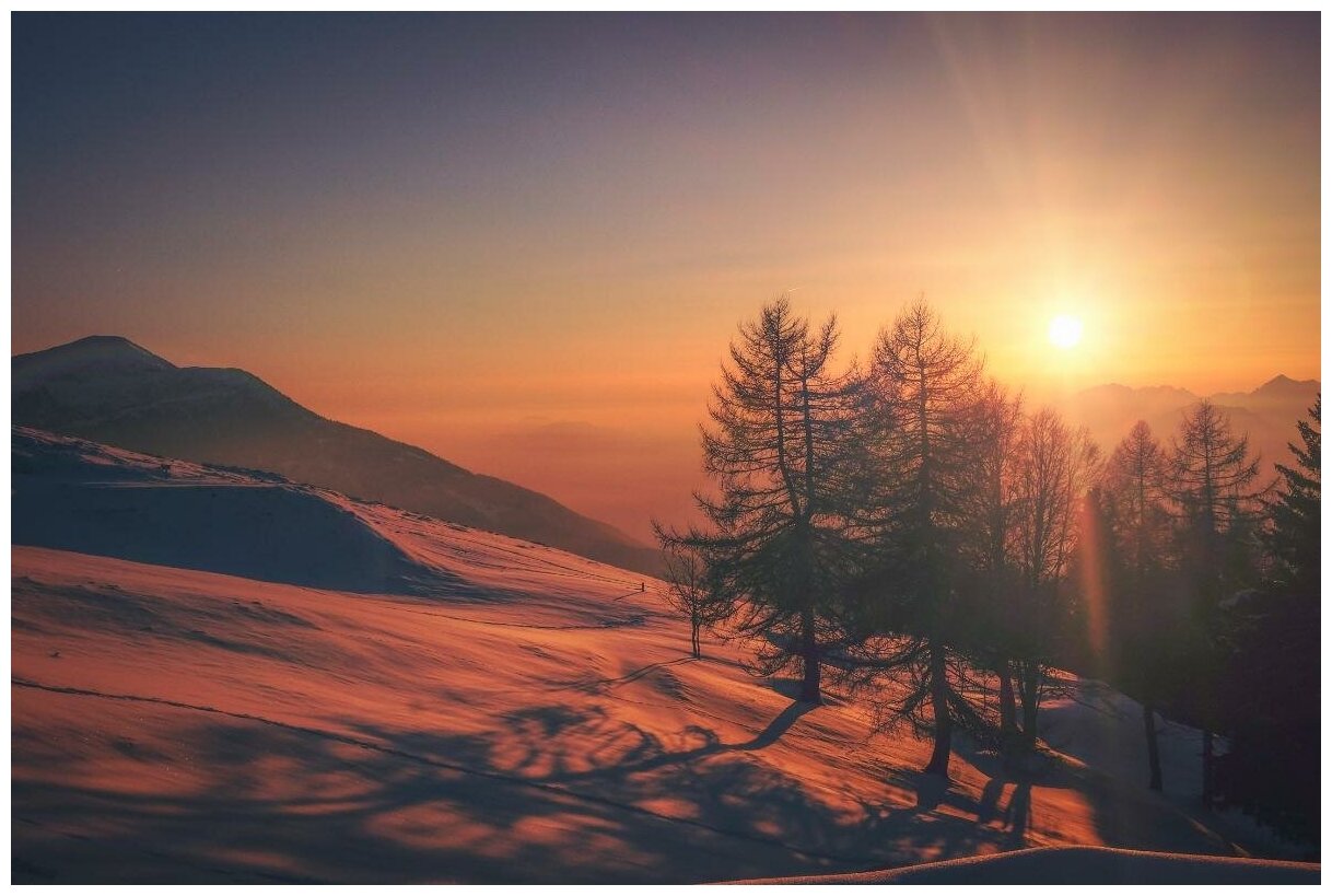 Постер / Плакат / Картина Деревья на склоне горы 40х50 см в подарочном тубусе