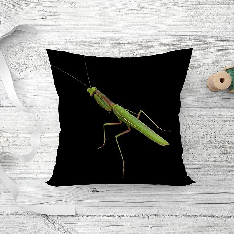 Подушка декоративная Богомол 40х40 велюр