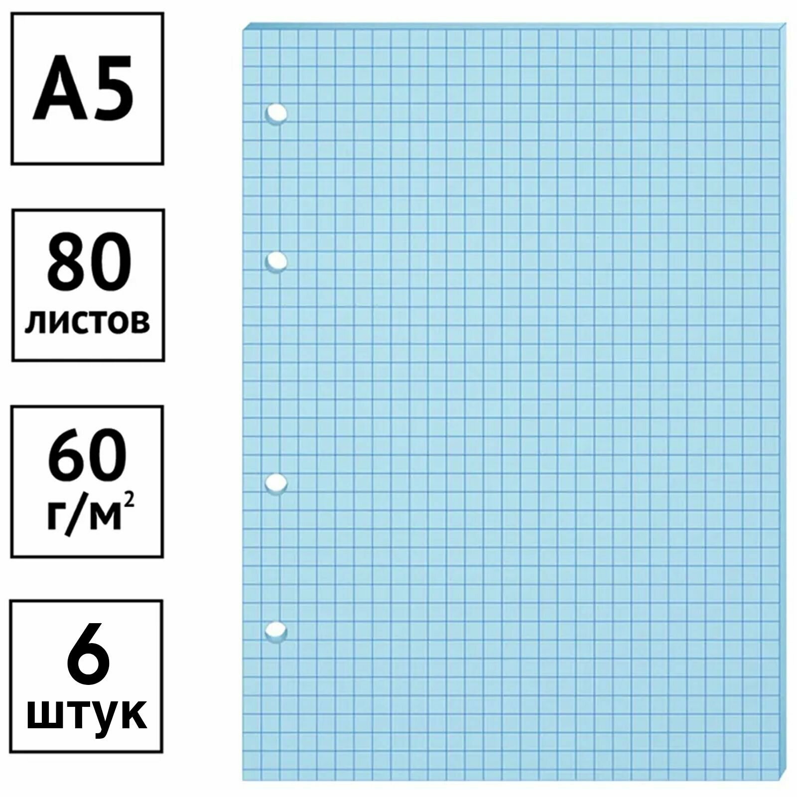Сменный блок/листы для тетрадей на кольцах, 80л, А5, голубой, клетка, набор из 6 штук