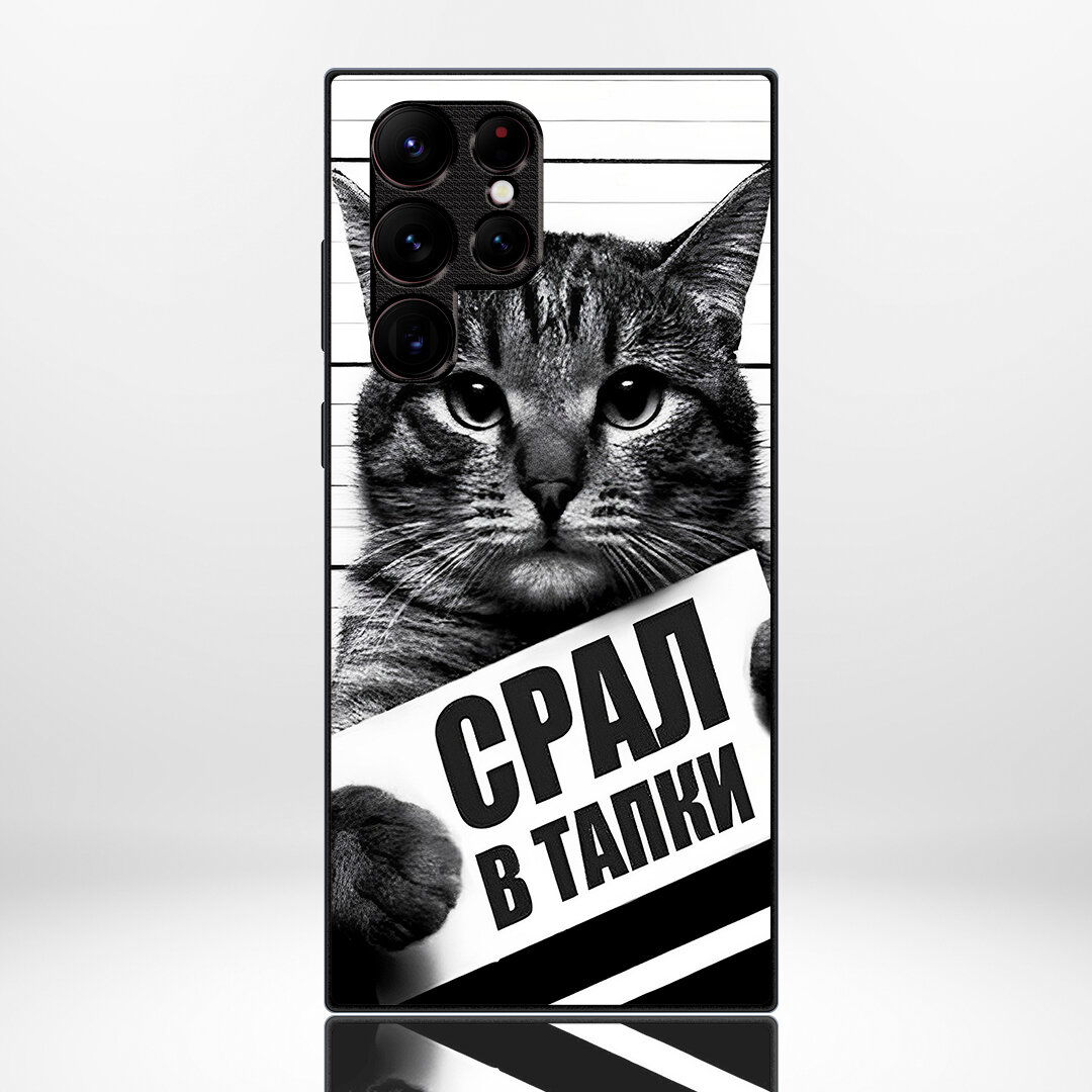 Чехол на Samsung S23 Ultra кот с тапками
