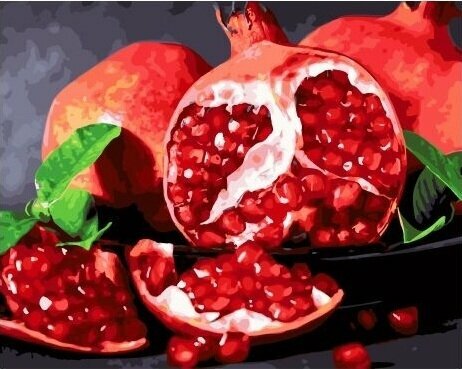 Картина по номерам на холсте 40*50 см "Спелый гранат"