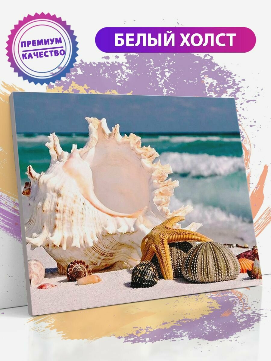 Картина по номерам на холсте с подрамником, Ракушка Море Звезда, 40х50 см